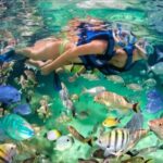 Punta Cana: Speedboat Ride, Snorkeling, & Dolphin Watching - What to Expect During Your Tour