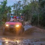 Punta Cana: Sunset Buggy Adventure Ride and Carnival Show - Who Should Consider This Tour