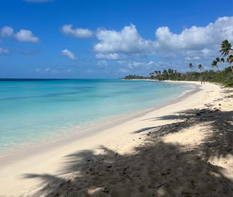 Punta Cana: Three Treasures of Saona - Palmilla, Pueblo & Canto de la playa - The Reality: Balancing the Pros and Cons