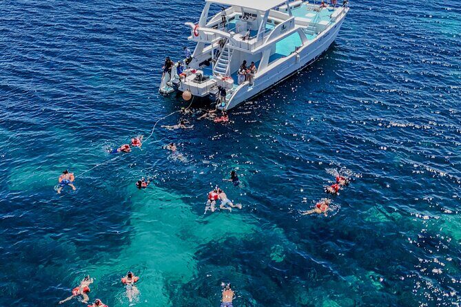 Punta Cana to Isla Catalina Day Tour on Catamaran - What Travelers Say