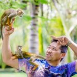 Punta Cana: Tour Monkey Adventure With Hotel Pick Up - The Full Itinerary Breakdown