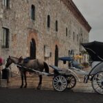 Punta Cana Tour Santo Domingo Full Day Activity Colonial Area - What Travelers Say