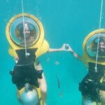Punta Cana Underwater Scubadoo Adventure - The Marine Environment: Why It’s Worth Seeing