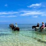 Punta Cana: Uvero Alto Beach Horseback Riding Tour - Who Is This Tour Best For?