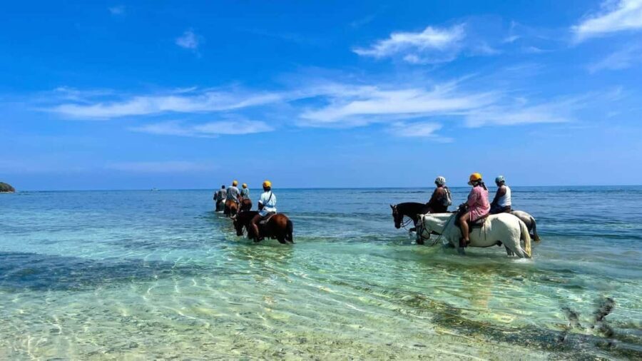 Punta Cana: Uvero Alto Beach Horseback Riding Tour - Who Is This Tour Best For?