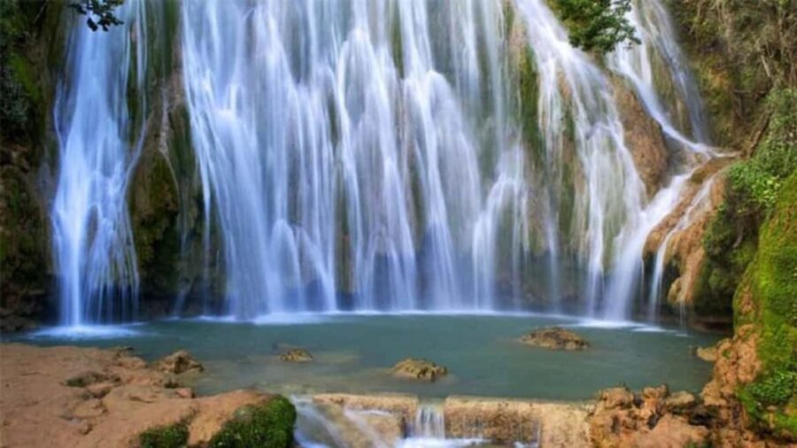 Punta Cana: Whale Watching, Cayo Levantado & Waterfall - What’s the Experience Like? A Closer Look