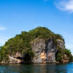 Punta Cana: Whale Watching & Los Haitises Park Sailing Tour - Final Thoughts: Who Will Love This Tour?