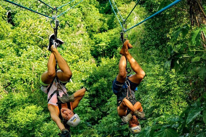 Punta Cana Ziplining Adventure Experience - The Experience Through Travelers’ Eyes