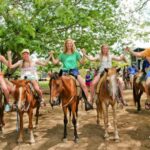 Punta Canas Best Sunset Horse Ride - Who Will Love This Tour?