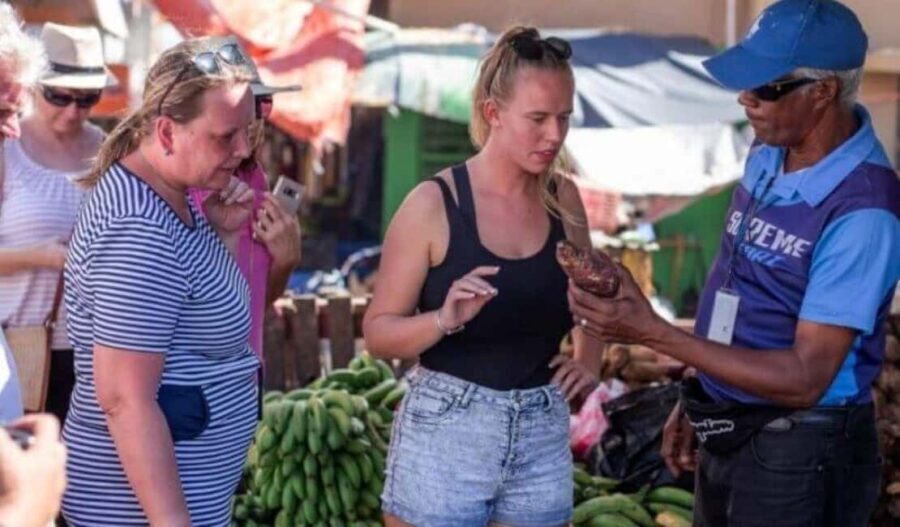 Punta Cana:Samaná Bay,Bacardí Island and El Limón Waterfall - The Boat Ride Across Samaná Bay