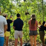 Punta Laguna Tour: Spider Monkey Reserve, cenote, canoe - Authenticity and Overall Value