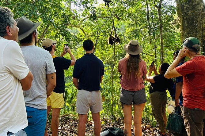 Punta Laguna Tour: Spider Monkey Reserve, cenote, canoe - Authenticity and Overall Value