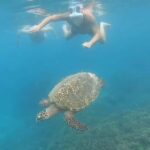 Pusuk Monkey Forest Lombok, Ghost Villa,and the Three Gilis - Practical Details and What to Expect