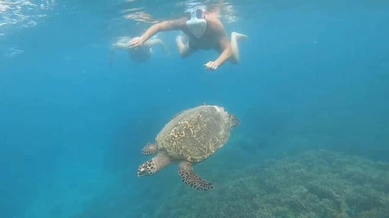 Pusuk Monkey Forest Lombok, Ghost Villa,and the Three Gilis - Practical Details and What to Expect