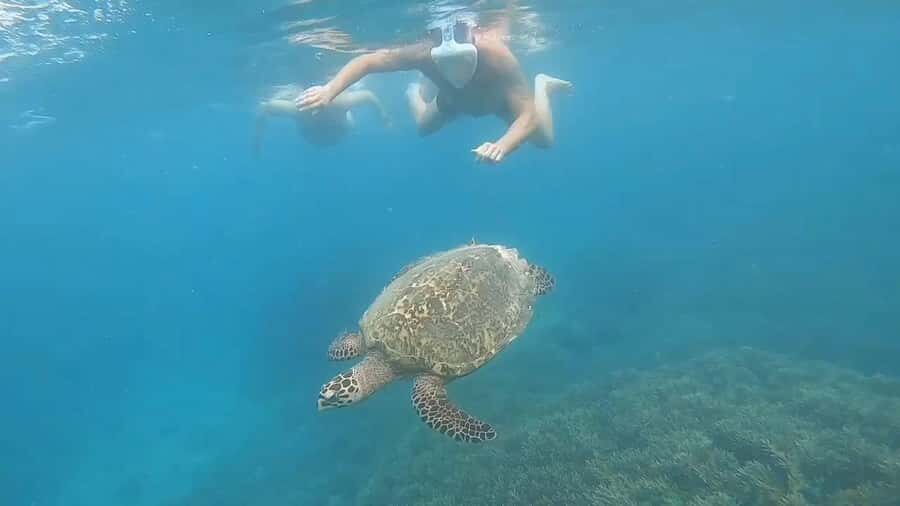 Pusuk Monkey Forest Lombok, Ghost Villa,and the Three Gilis - Practical Details and What to Expect