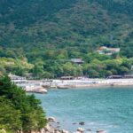 Qingdao Laoshan Coastal Adventure: Mountains, Temples & Tea - Transportation and Logistics