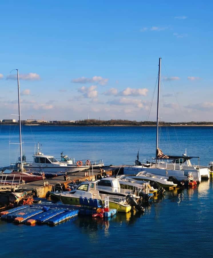 Qingdao West Coast Art, Culture & Coastal Adventure Day Tour - Practical Details and What to Expect