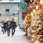 Quebec City & Ice Hotel One Day Trip - Practical Details: Making the Most of Your Day