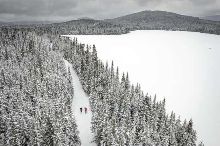 Quebec City: Introduction to cross-country skiing at Camp Mercier - What to Expect: Breakdowns & Details