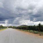 Querétaro: Experience Tour of Hacienda Atongo - The Bell and the Old Town