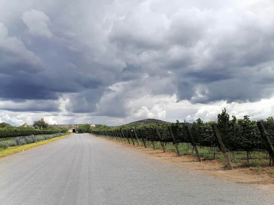 Querétaro: Experience Tour of Hacienda Atongo - The Bell and the Old Town