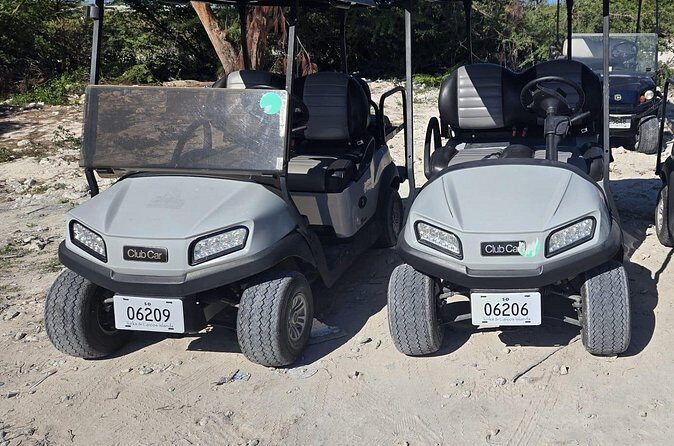 R & B Golf Cart and Car Rental - Cost and Value: What You Get for $180