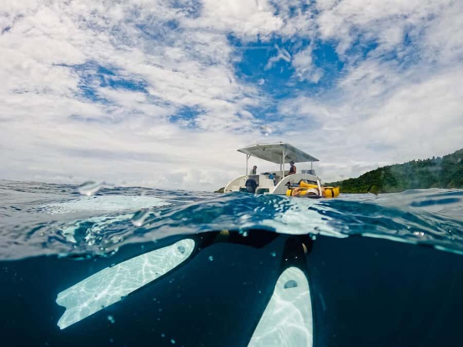 Railay: AIDA 1 or 2 Days Discover Freediving Courses - The Unique Appeal of Railay for Freediving