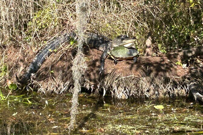 Rainbow Springs Guided Kayak/ Swim/ Snorkel Adventure - Practical Details and Considerations