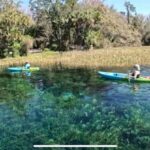 Rainbow Springs: Rainbow River Snorkel & Sightseeing Cruise - An In-Depth Look at the Rainbow River Snorkel & Sightseeing Tour