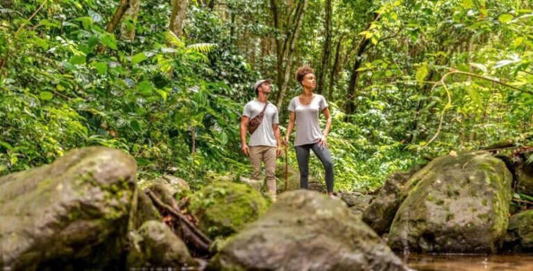 Rainforest Adventure - Historic and Cultural Stops