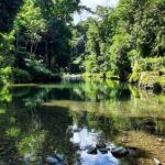 Rainforest and Junglequi Zipline Combo Tour - Exploring the Rainforest: A Closer Look