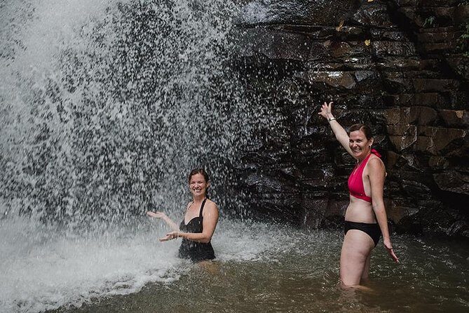 Rainforest Bathing Tour - Who Will Love This Tour?