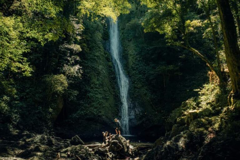 Rainforest Bird Photography Trek in Kitulgala - What to Expect During the Trek