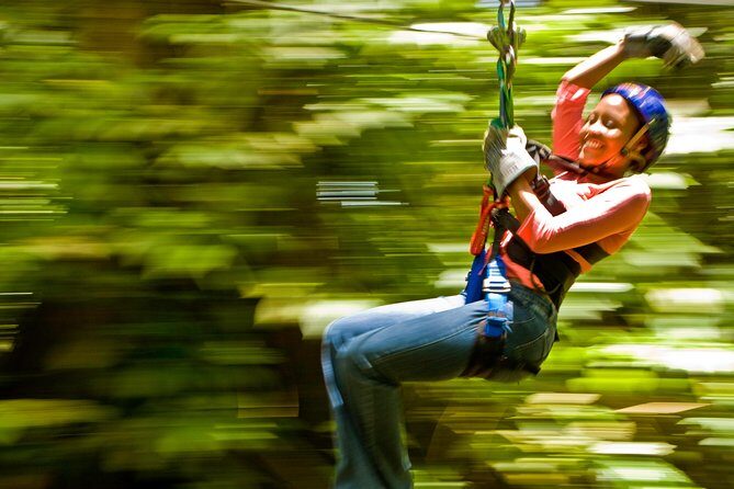 Rainforest Canopy Adventure from Vieux Fort or North Island, St Lucia - Who Is This Tour Best For?