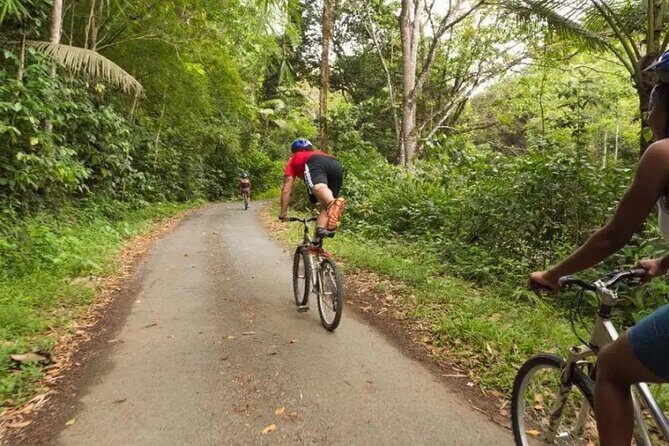 Rainforest Cycling Adventure in St. Lucia - What To Consider Before Booking