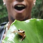 Rainforest River Hike and Waterfalls Adventure - How the Experience Works for Different Travelers