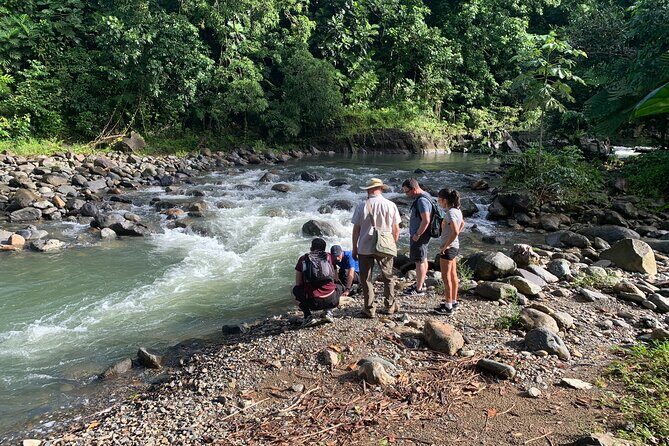 Rainforest River Nature Walk Adventure and Luquillo Beach - Authentic Experiences from Reviews