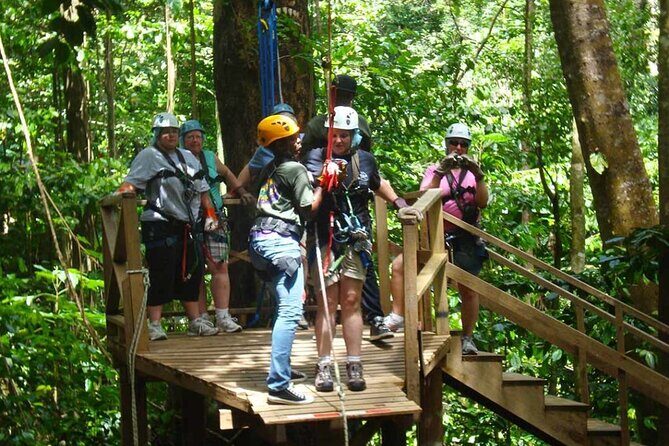 Rainforest Rush: St. Lucia Zip Line Adventure - Managing Expectations Based on Reviews
