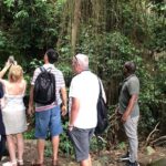 Rainforest Tours in St. Kitts - Who Will Love This Tour