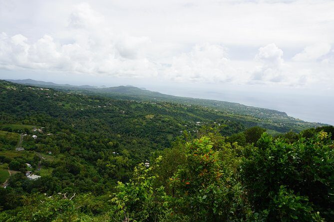 Rainforest Waterfall Adventure - The Sum Up