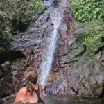 Rainforest Waterfall Hike with Rastafarian Nature Guide - The Journey Through the Rainforest