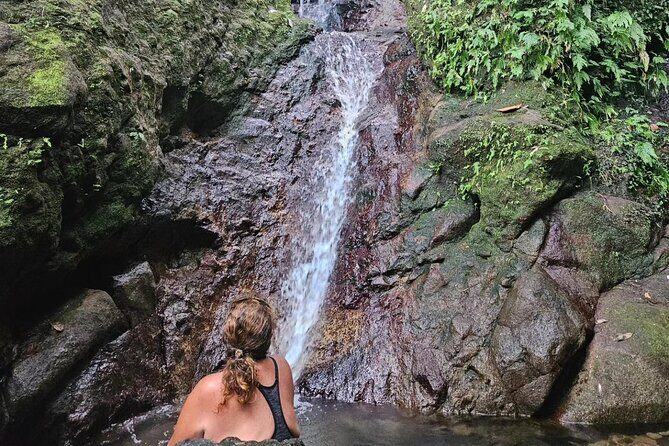 Rainforest Waterfall Hike with Rastafarian Nature Guide - The Journey Through the Rainforest