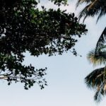 Rainforest Waterslide and Riverpool Beach Tour in Puerto Rico - Authentic Experiences and Practical Tips