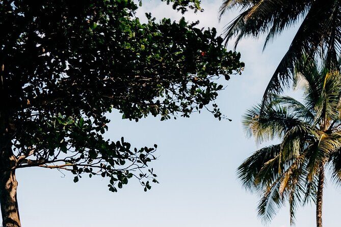 Rainforest Waterslide and Riverpool Beach Tour in Puerto Rico - Authentic Experiences and Practical Tips