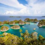 Raja Ampat Tour 14 Days  Explore Papuas Ocean Paradise - Practical Details and Value