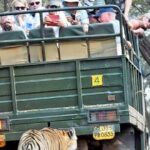 Ranthambore National Park 20 Seater Canter Safari Booking - Meeting Points and Logistics