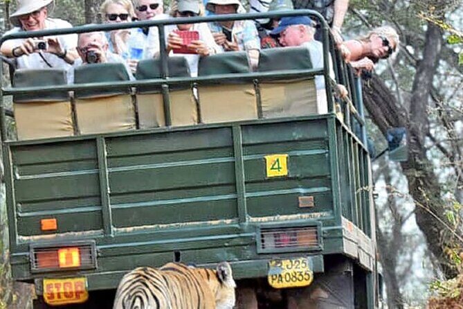 Ranthambore National Park 20 Seater Canter Safari Booking - Meeting Points and Logistics