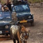 Ranthambore National park canter gypsy safari - The Itinerary Breakdown