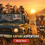 Ranthambore National Park Jeep Safari with & Expert Guide - Who Should Consider This Safari?