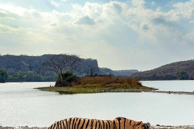 Ranthambore Private Jeep Safari Tour - Who Should Consider This Tour?